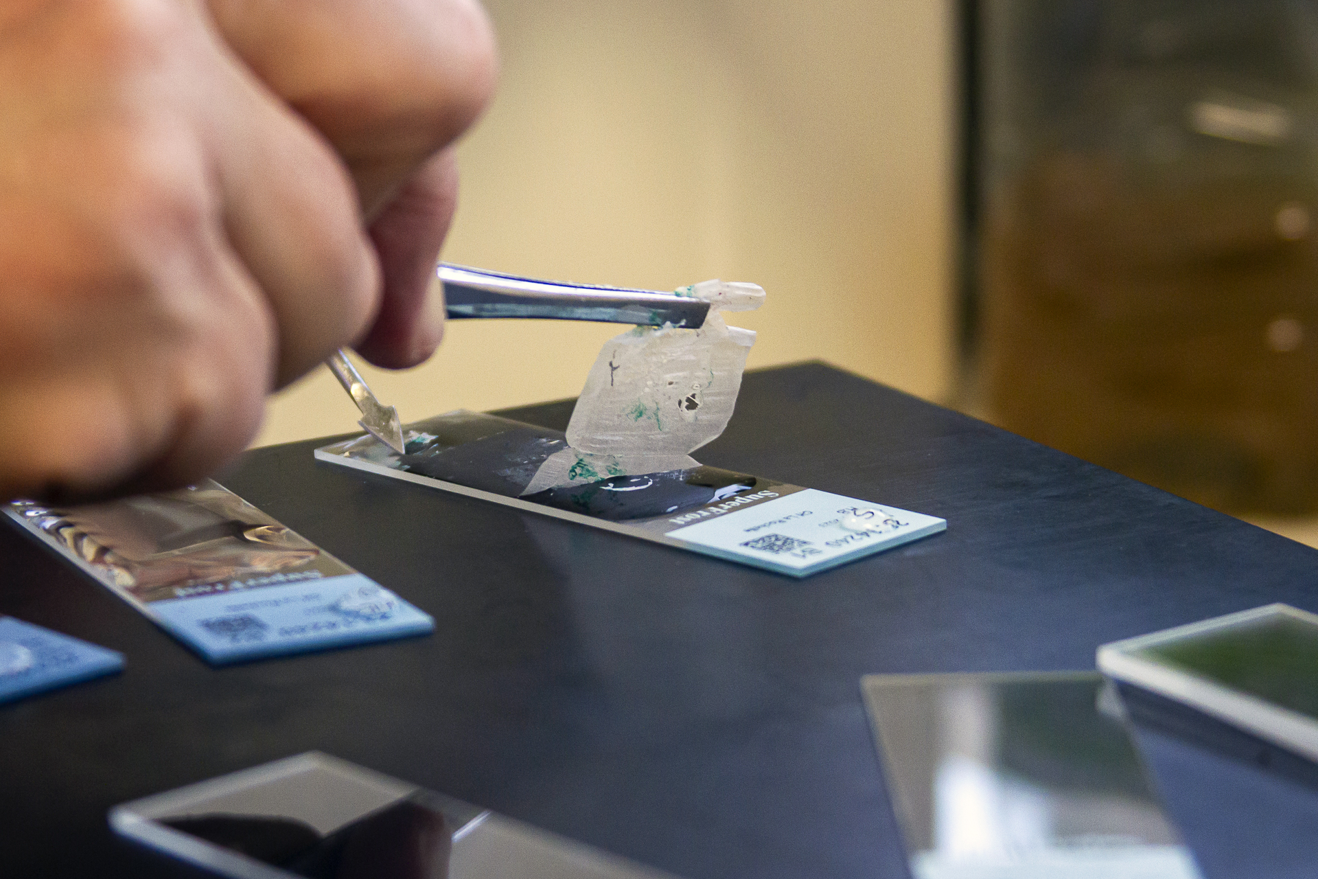 Anatomo cyto pathologie - Hôpitaux La Rochelle Ré Aunis